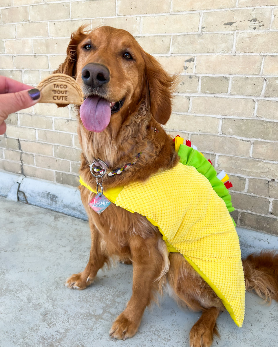 TACO Cookie Cutter WITH WORDS (Multiple Styles Available) – Loki Doki Dog