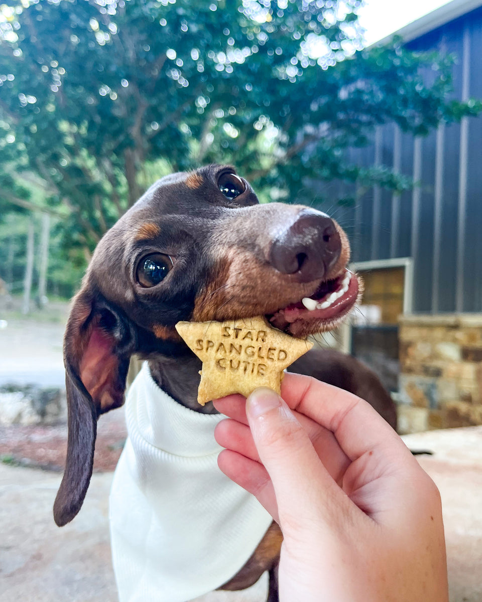 Patriotic Star Spangled Dog Star Shape Cookie Cutter Bundle (BUNDLE of ...