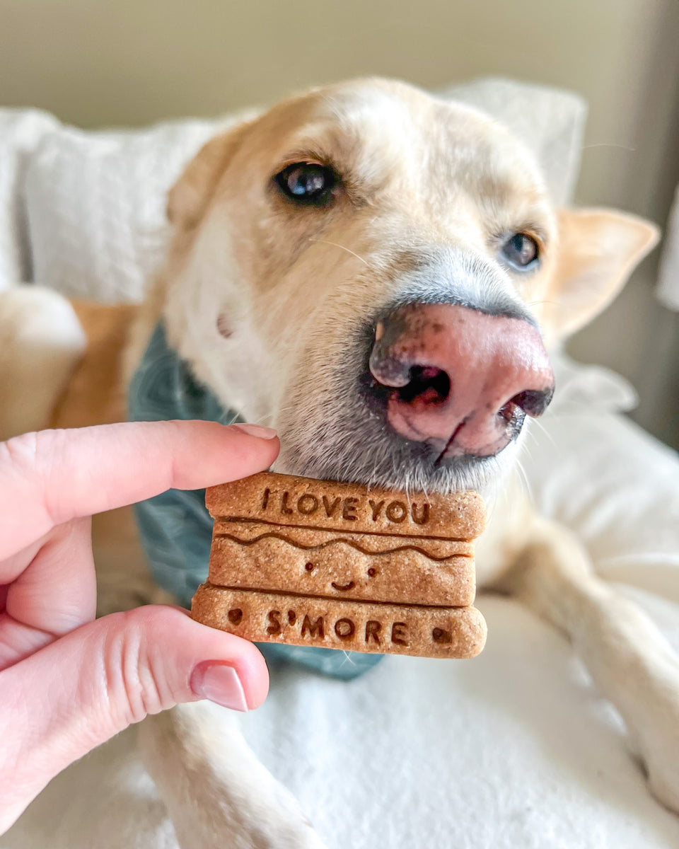 "I Love You Smores" Campfire Smores Shaped Cookie Cutter – Loki Doki Dog