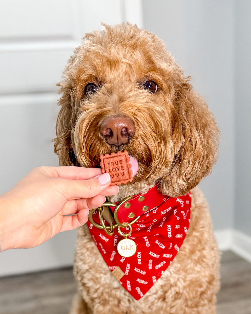 Postage Stamp Shaped Cookie Cutters (5 Styles Available) – Loki Doki Dog