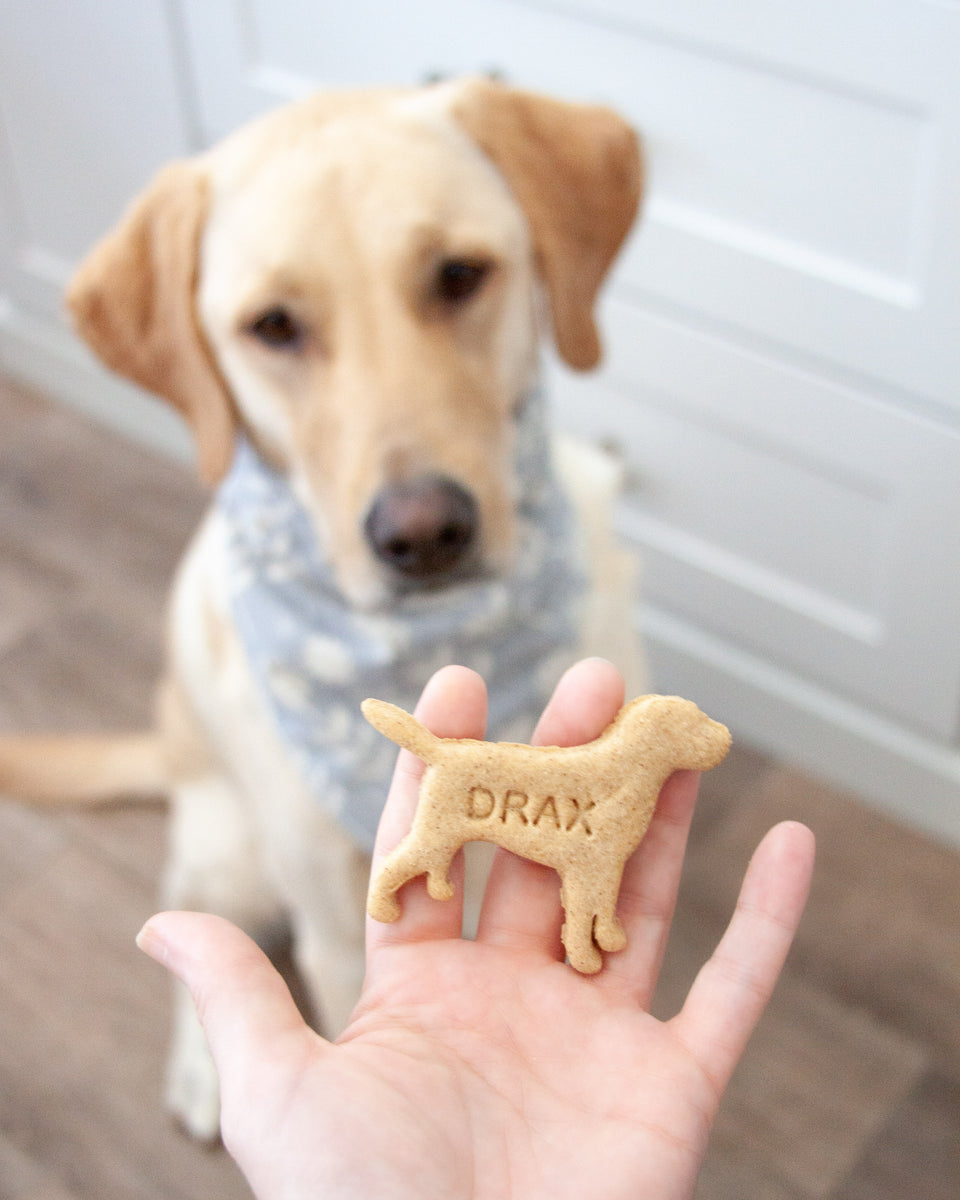 Dog Breed Shape Cookie Cutter (Personalization Available) – Loki Doki Dog