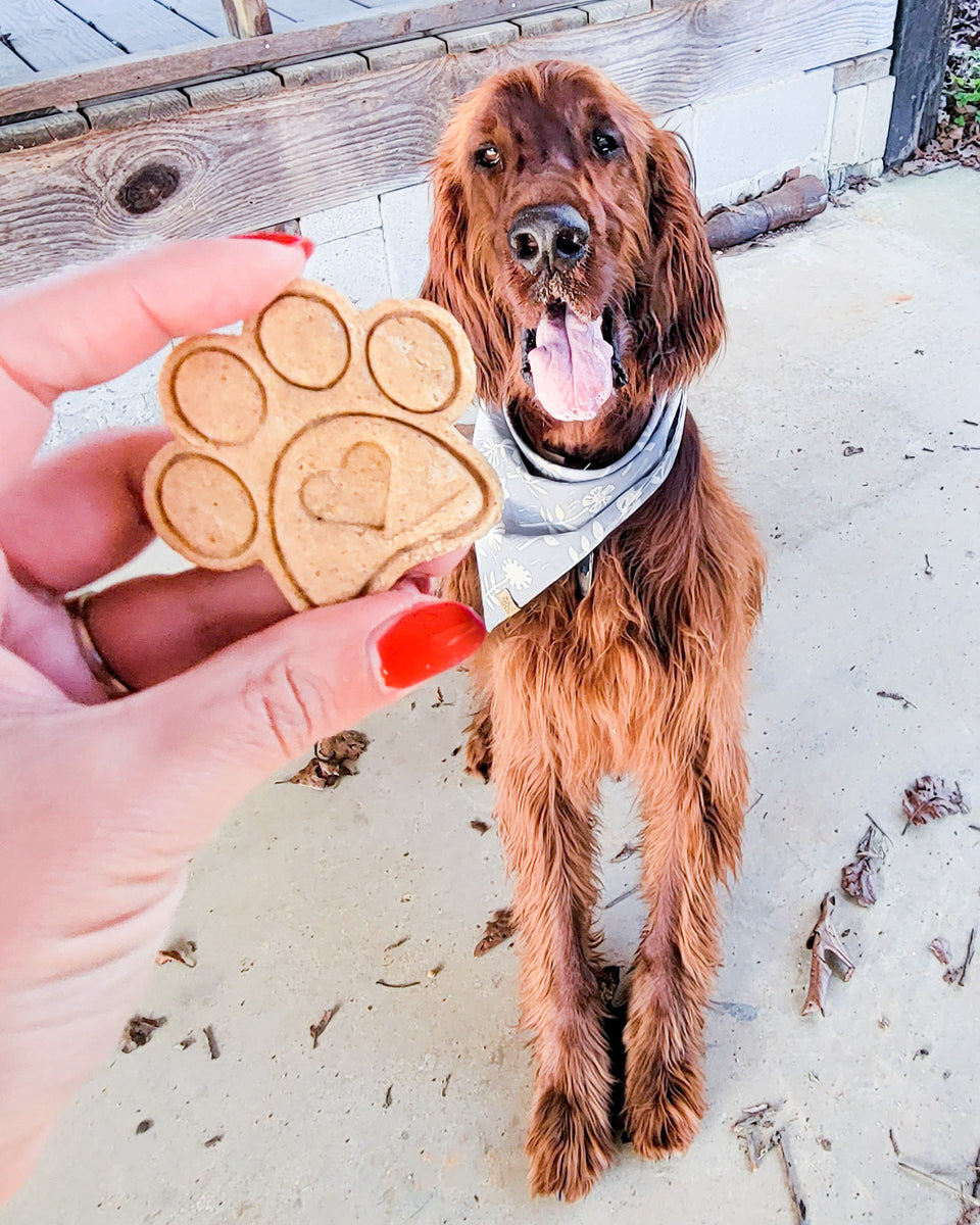 Paw Shaped Dog Cookie Cutter – Loki Doki Dog