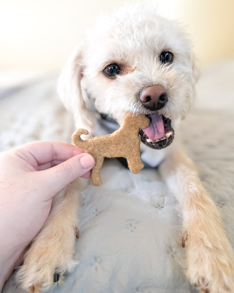 Dog Breed Shape Cookie Cutter (Personalization Available) – Loki Doki Dog